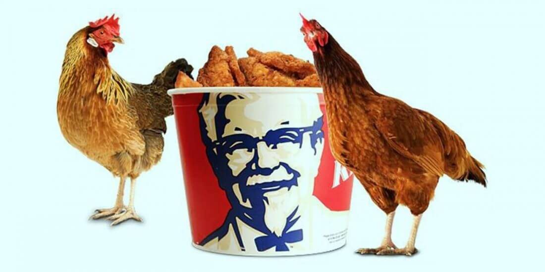 The best and worst fast food restaurants in the US - Food Spots