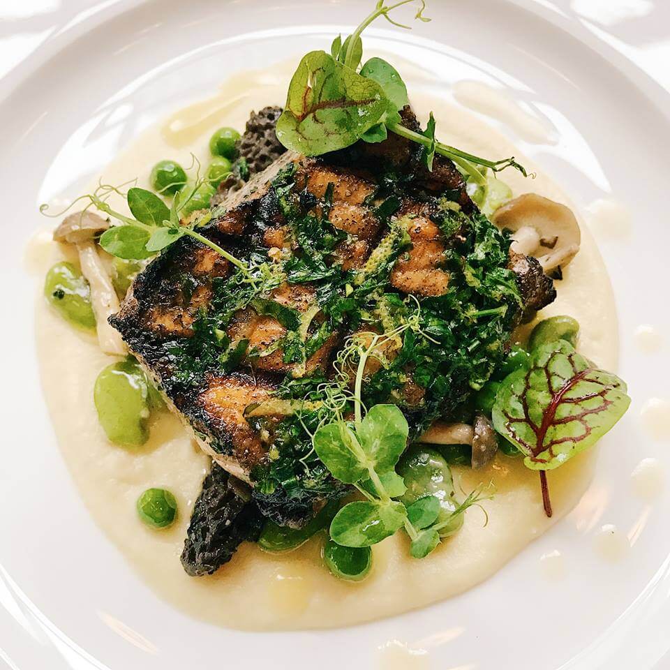 mistral – Food Spots